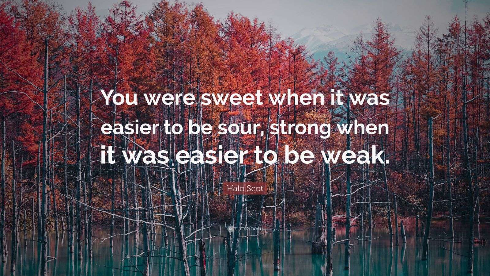 Halo Scot Quote: “You were sweet when it was easier to be sour, strong ...
