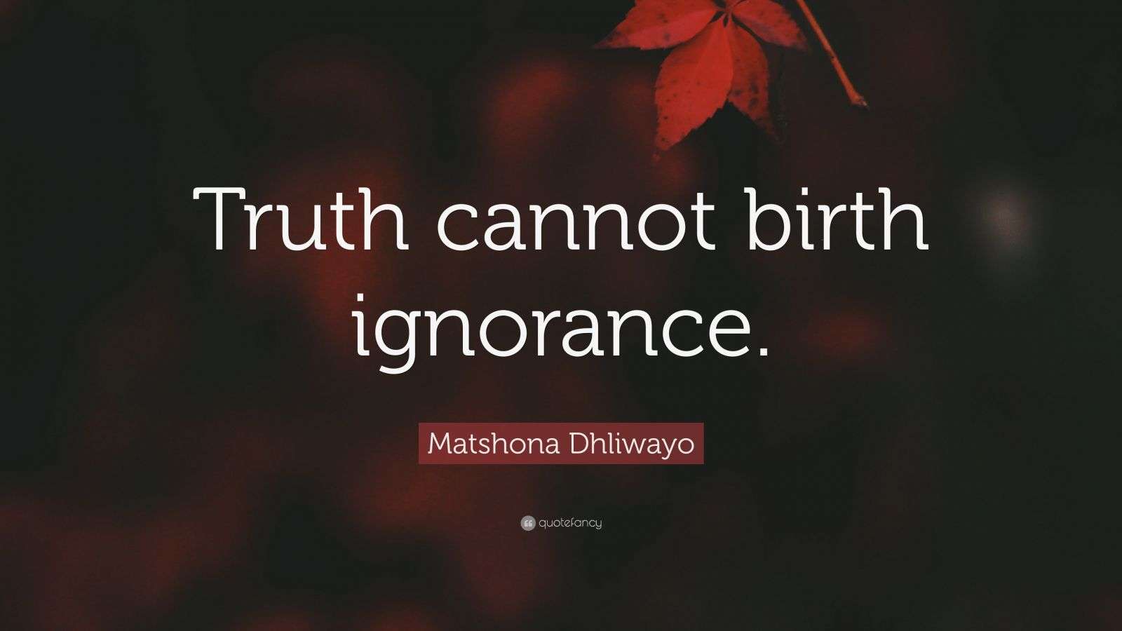 Matshona Dhliwayo Quote Truth Cannot Birth Ignorance