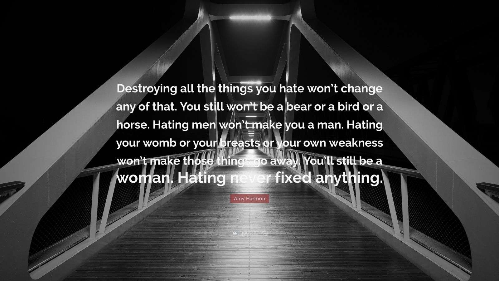 Amy Harmon Quote: “Destroying all the things you hate won’t change any ...