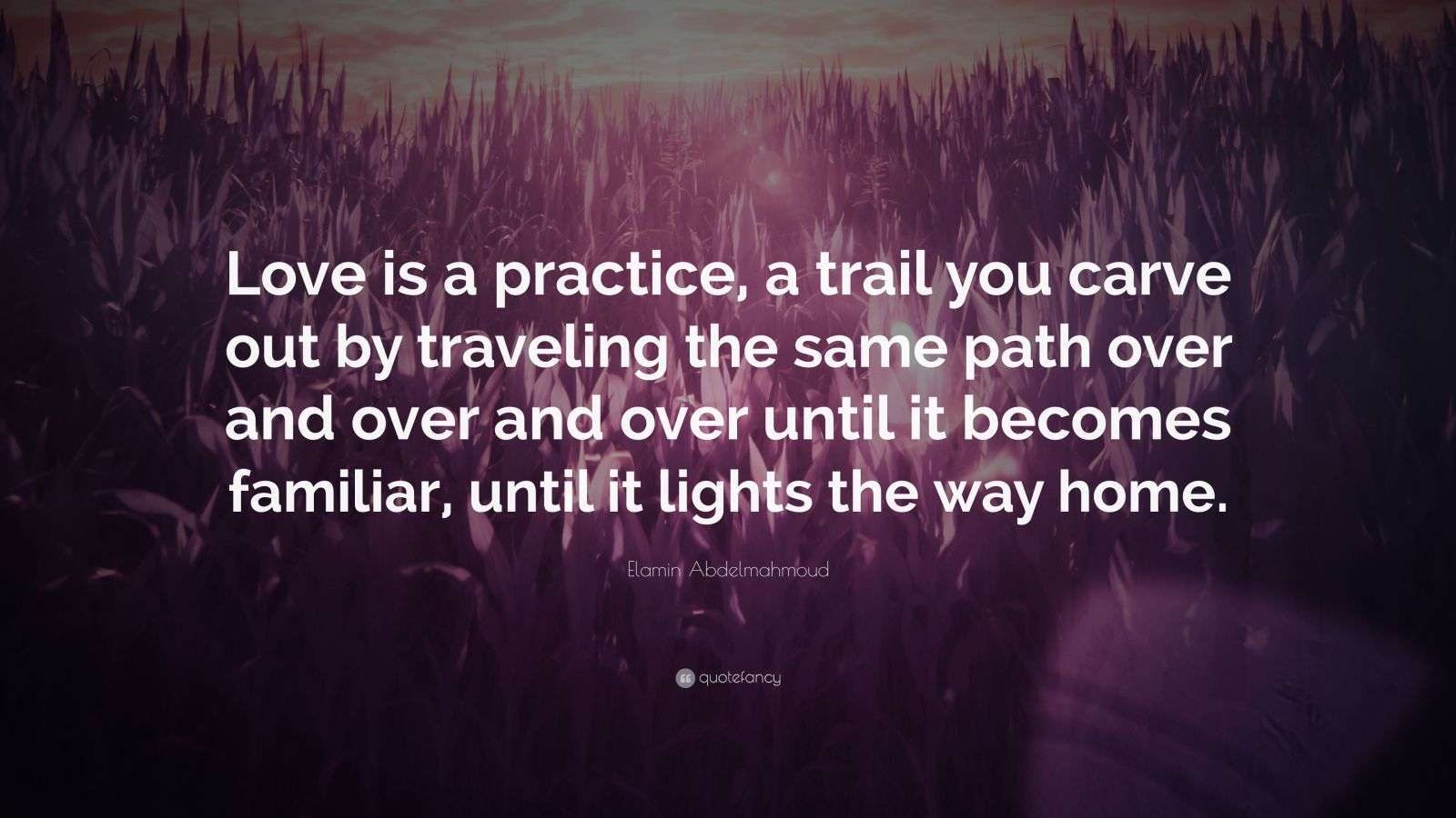 Elamin Abdelmahmoud Quote: “Love is a practice, a trail you carve out ...