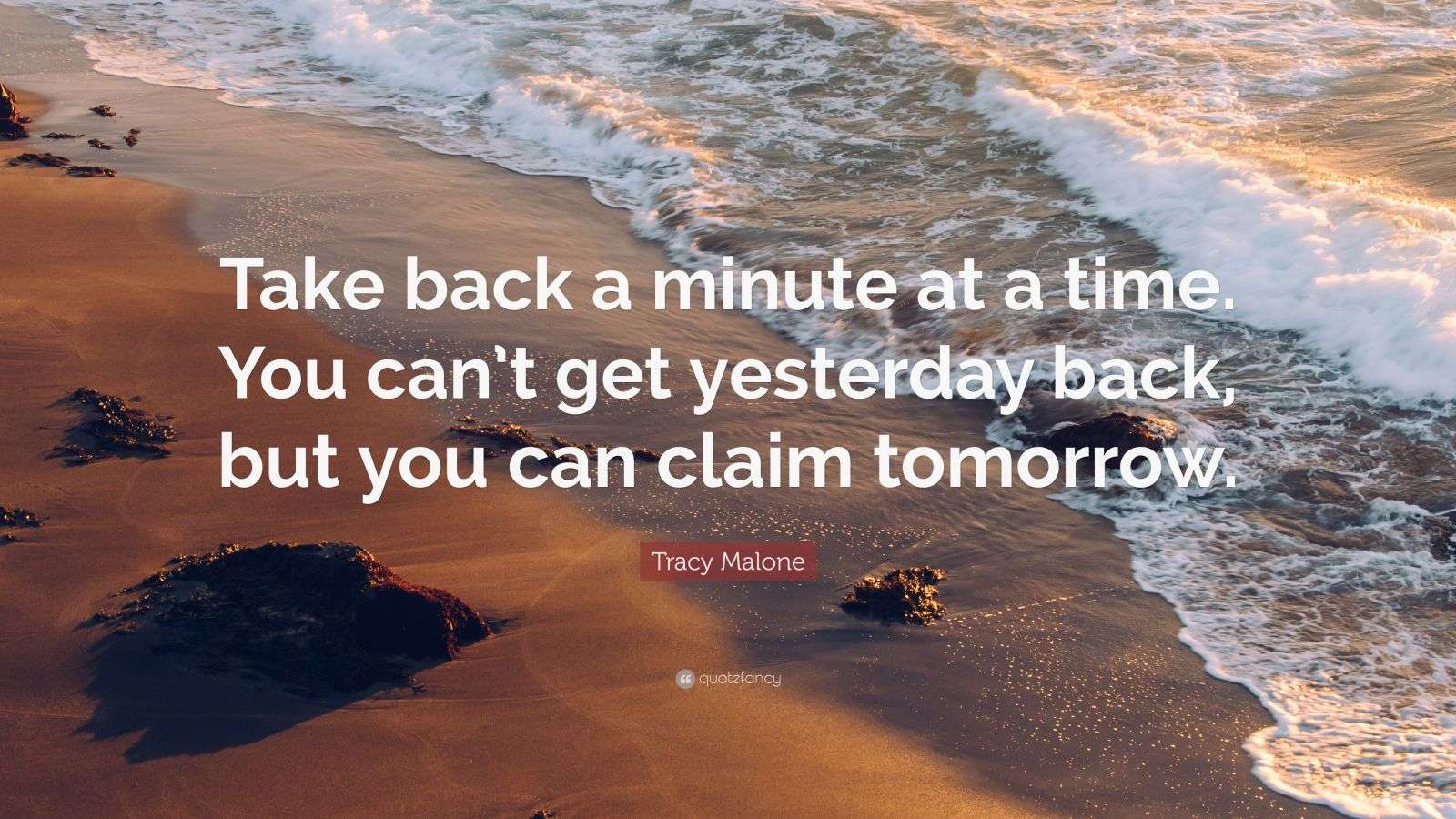 Tracy Malone Quote: “Take back a minute at a time. You can’t get ...