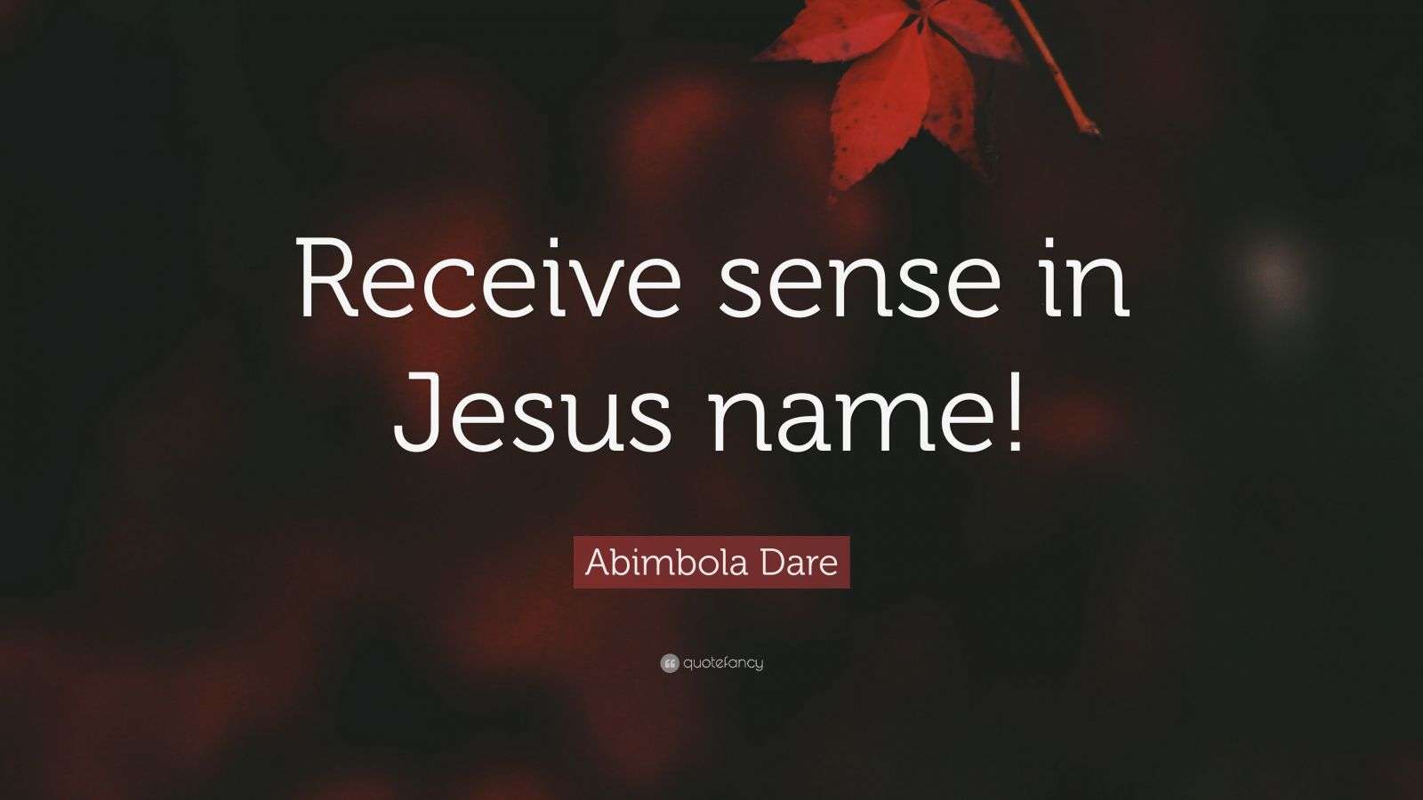 Abimbola Dare Quote: “Receive sense in Jesus name!”