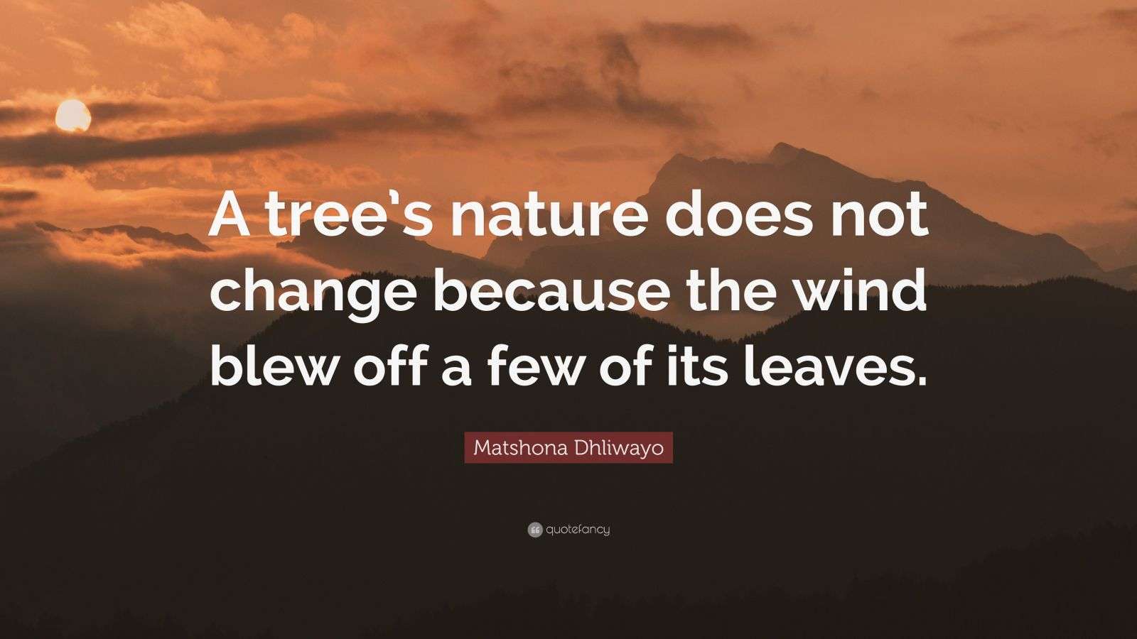 Matshona Dhliwayo Quote: “A tree’s nature does not change because the ...