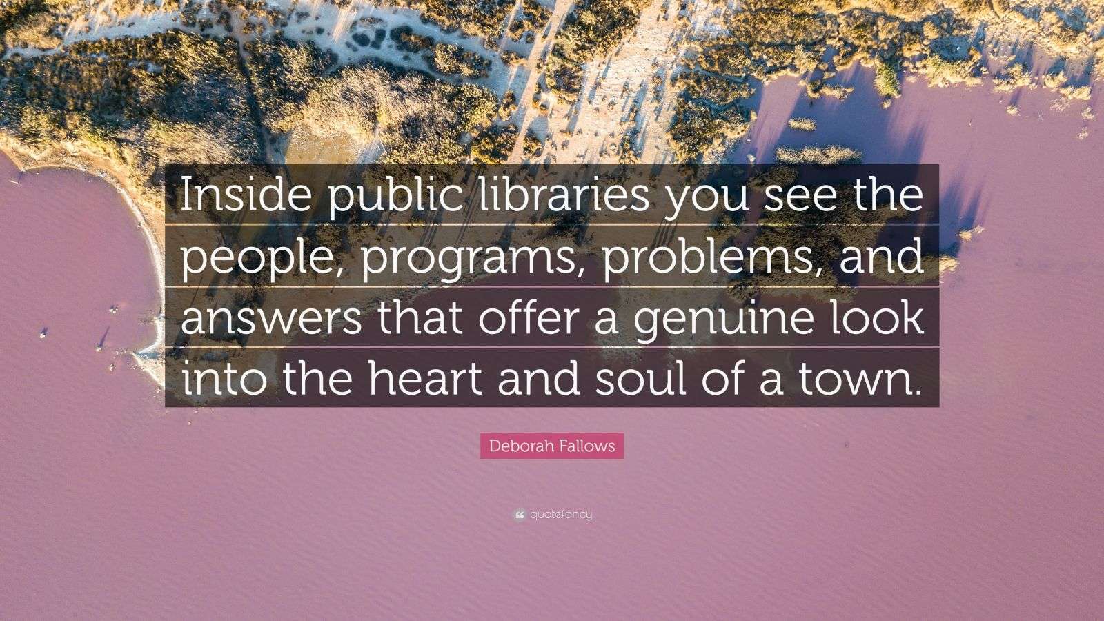 Deborah Fallows Quote: “Inside public libraries you see the people ...