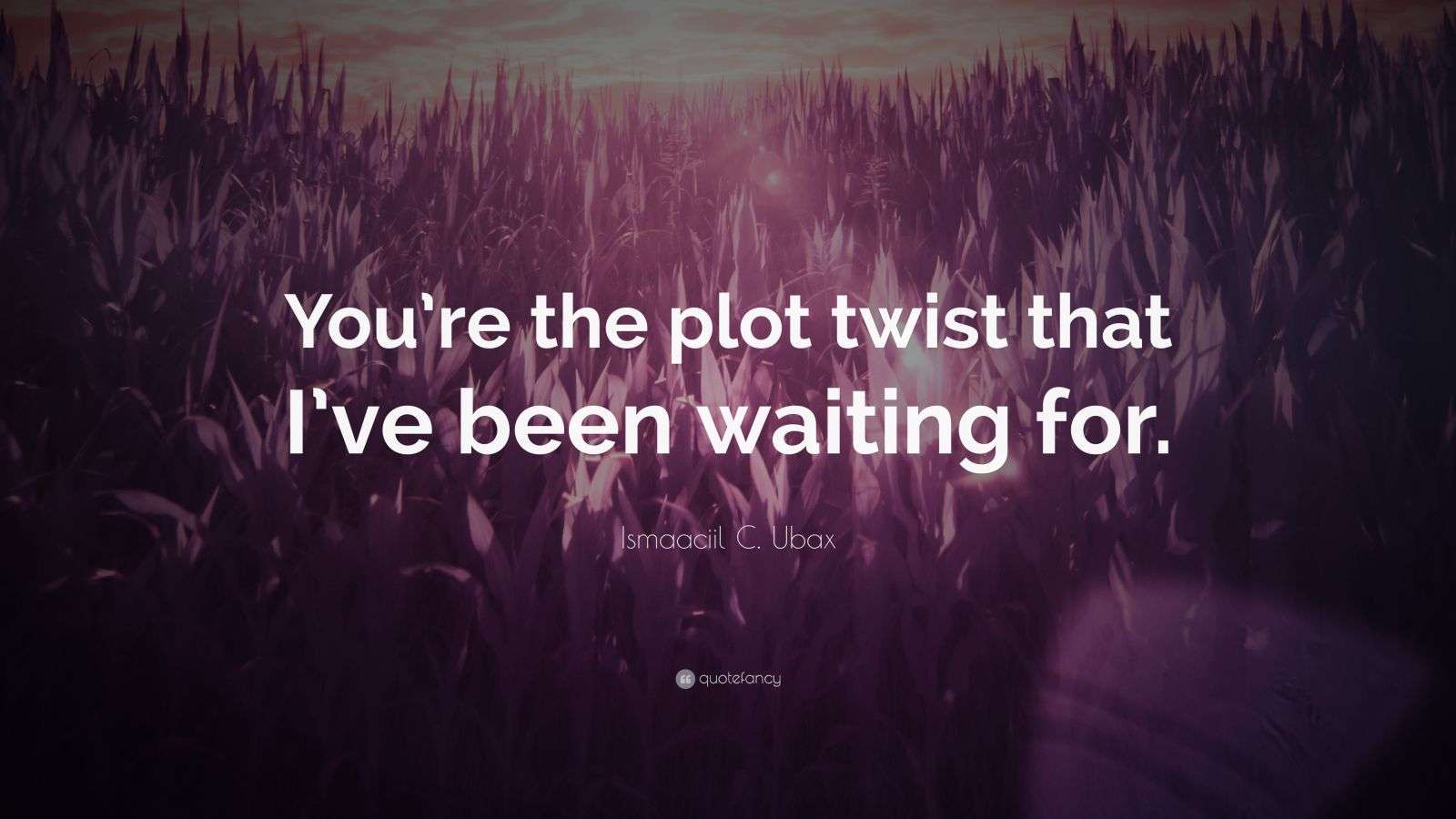 Ismaaciil C. Ubax Quote: “You’re the plot twist that I’ve been waiting ...