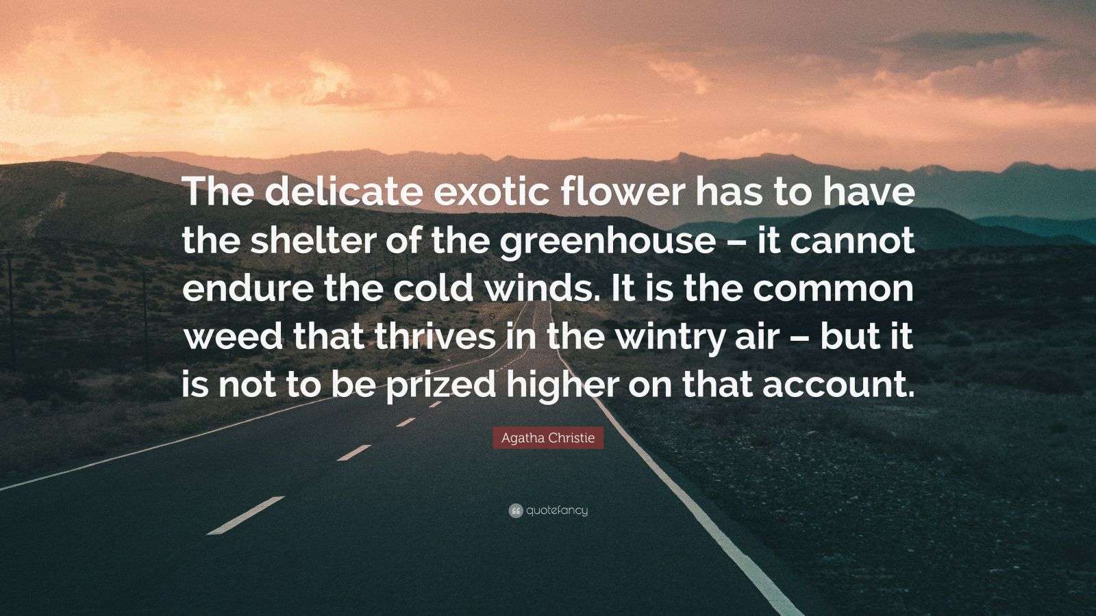 Agatha Christie Quote: “The delicate exotic flower has to have the ...