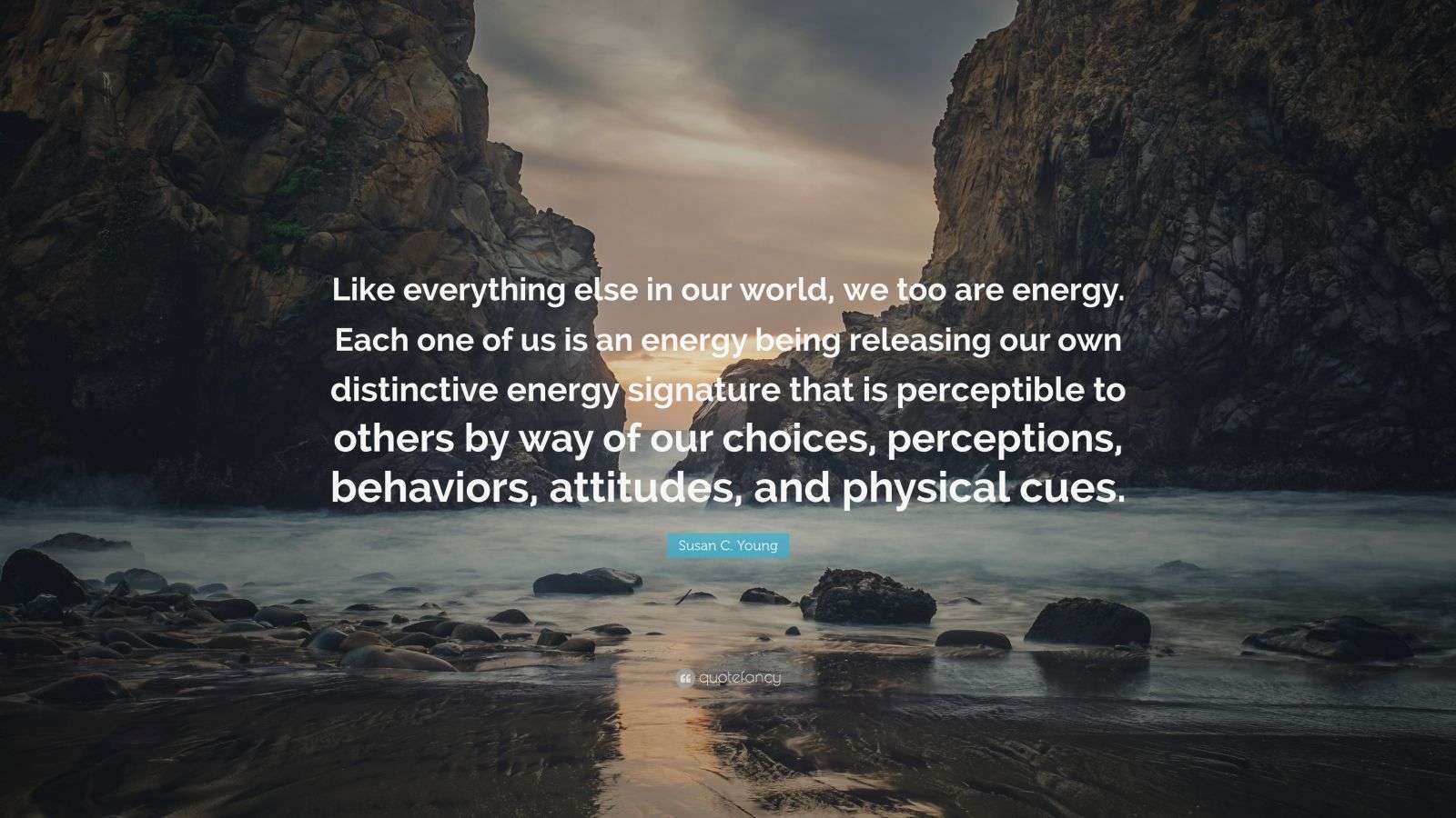 Susan C. Young Quote: “Like everything else in our world, we too are ...