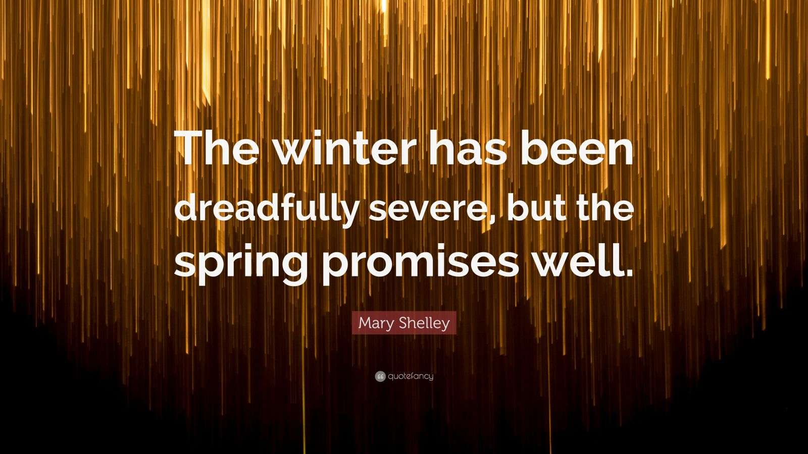 Mary Shelley Quote: “The winter has been dreadfully severe, but the ...