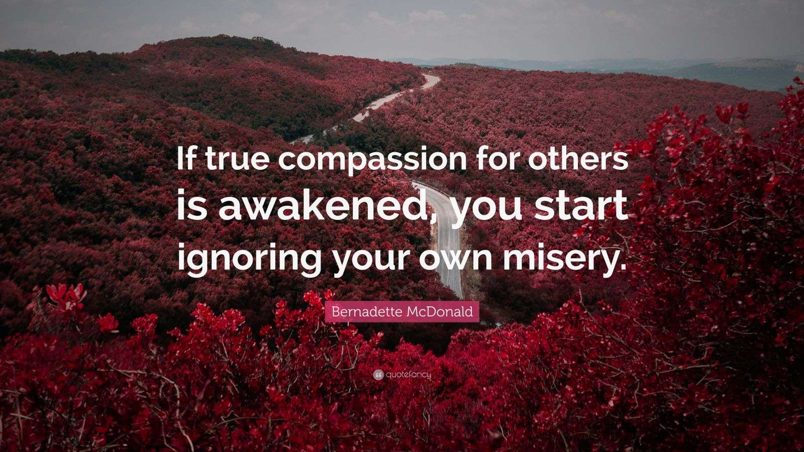 Bernadette McDonald Quote: “If true compassion for others is awakened ...