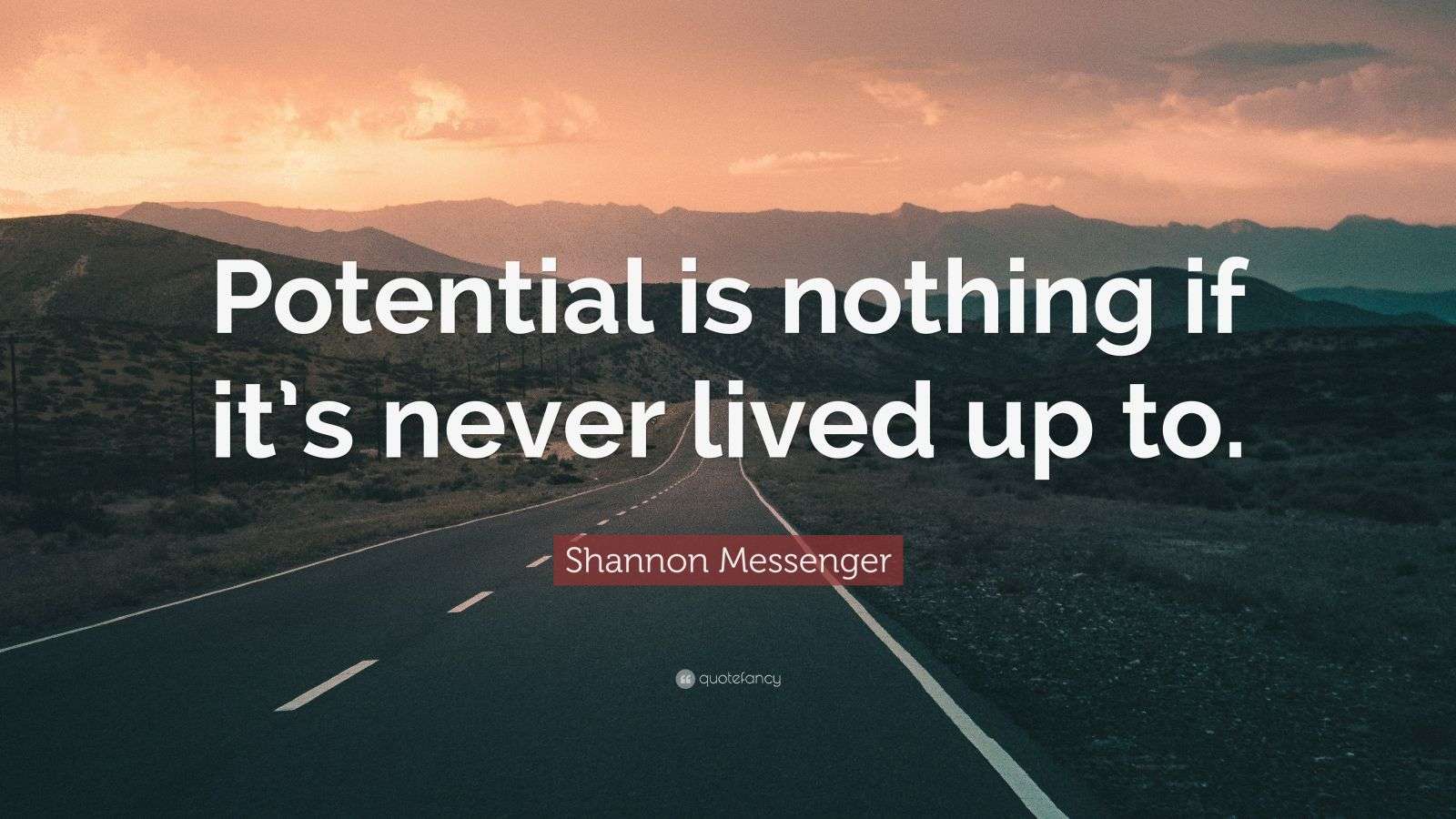 Shannon Messenger Quote: “Potential is nothing if it’s never lived up to.”