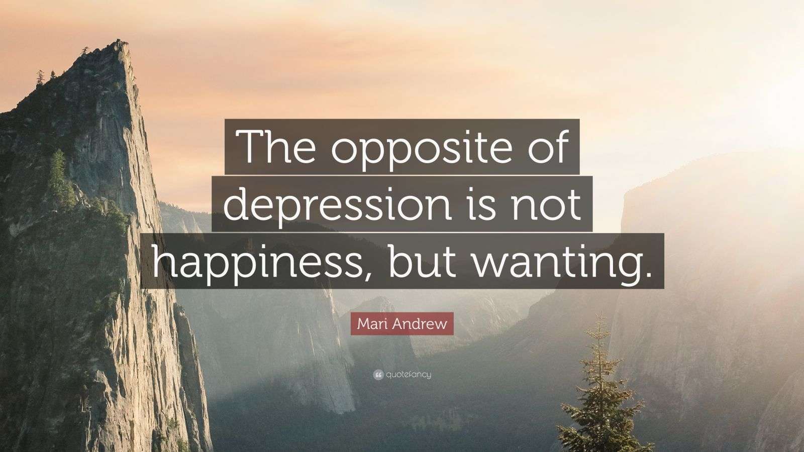 Mari Andrew Quote: “The opposite of depression is not happiness, but ...
