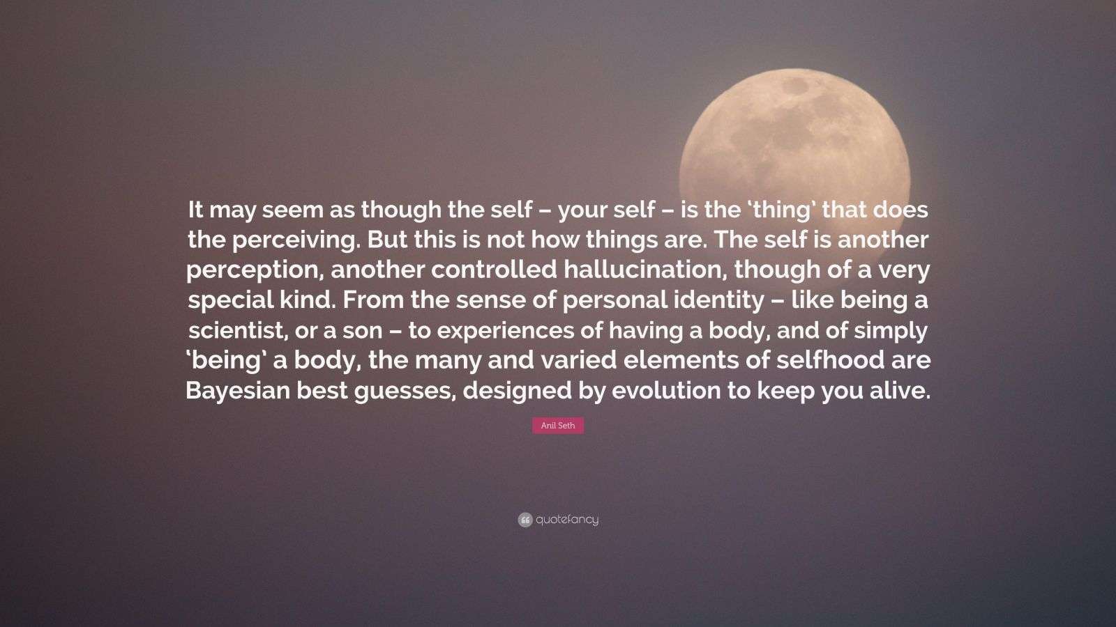 Anil Seth Quote: “It may seem as though the self – your self – is the ...