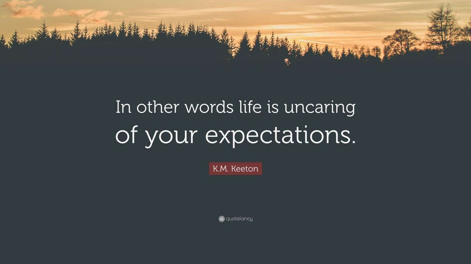K.M. Keeton Quote: “In other words life is uncaring of your expectations.”