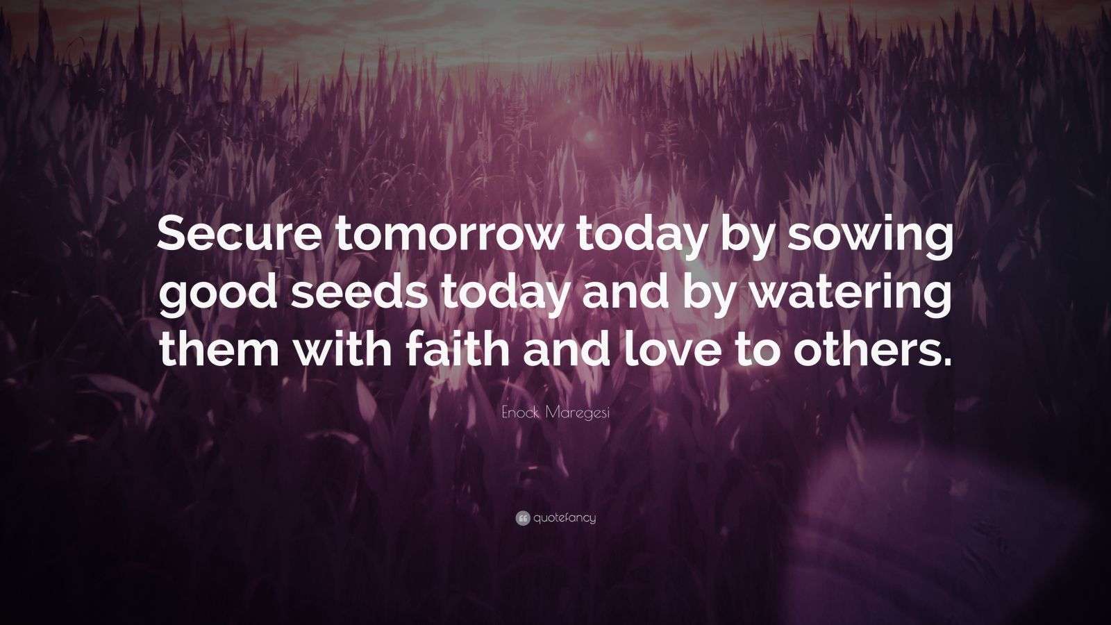 Enock Maregesi Quote: “Secure tomorrow today by sowing good seeds today ...