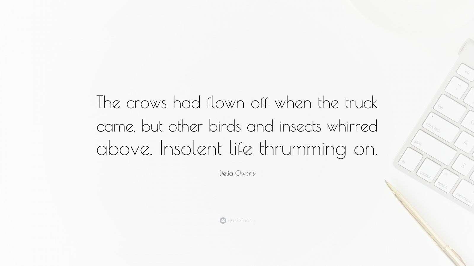 Delia Owens Quote: “The crows had flown off when the truck came, but ...