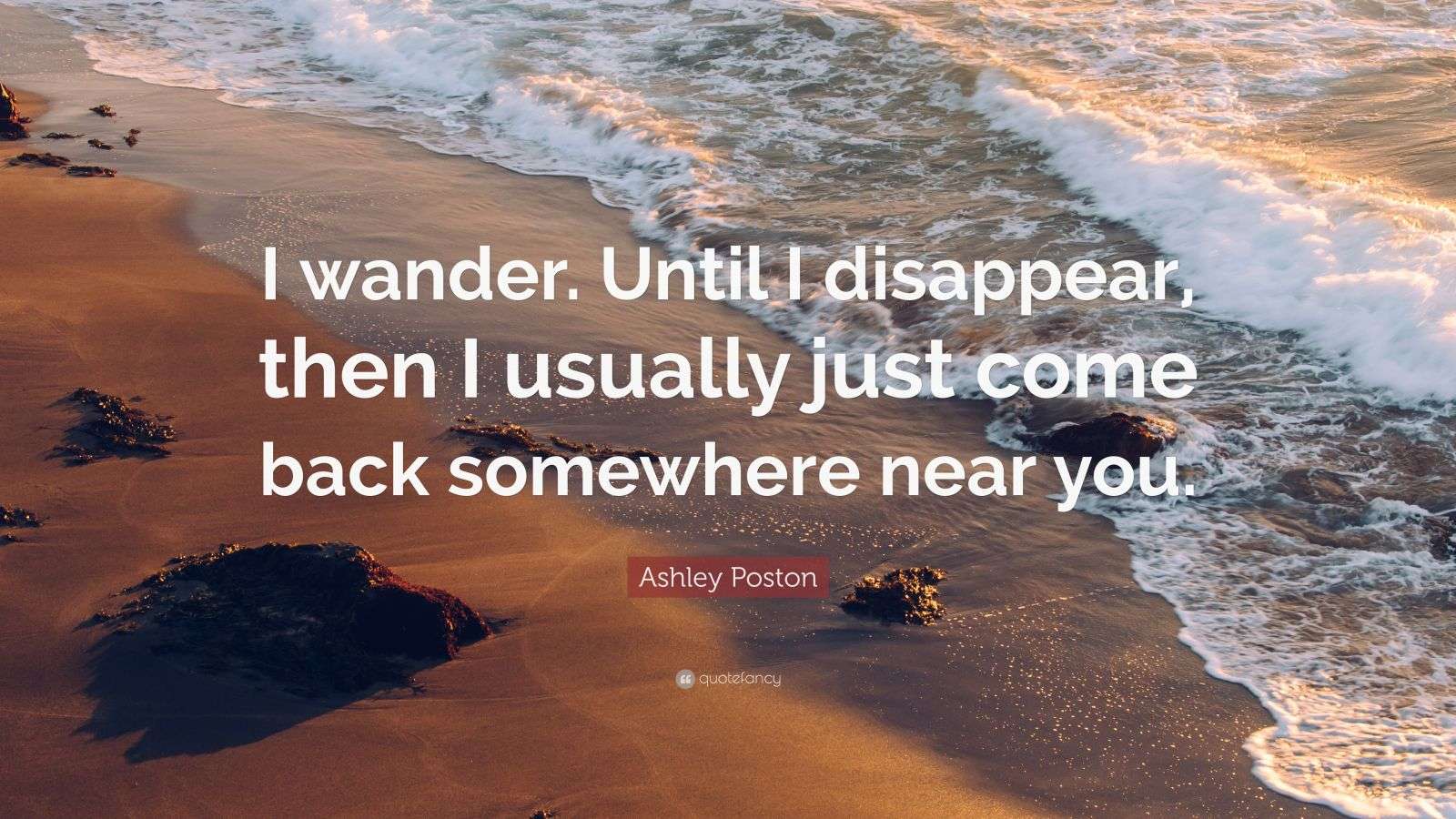Ashley Poston Quote: “I wander. Until I disappear, then I usually just ...