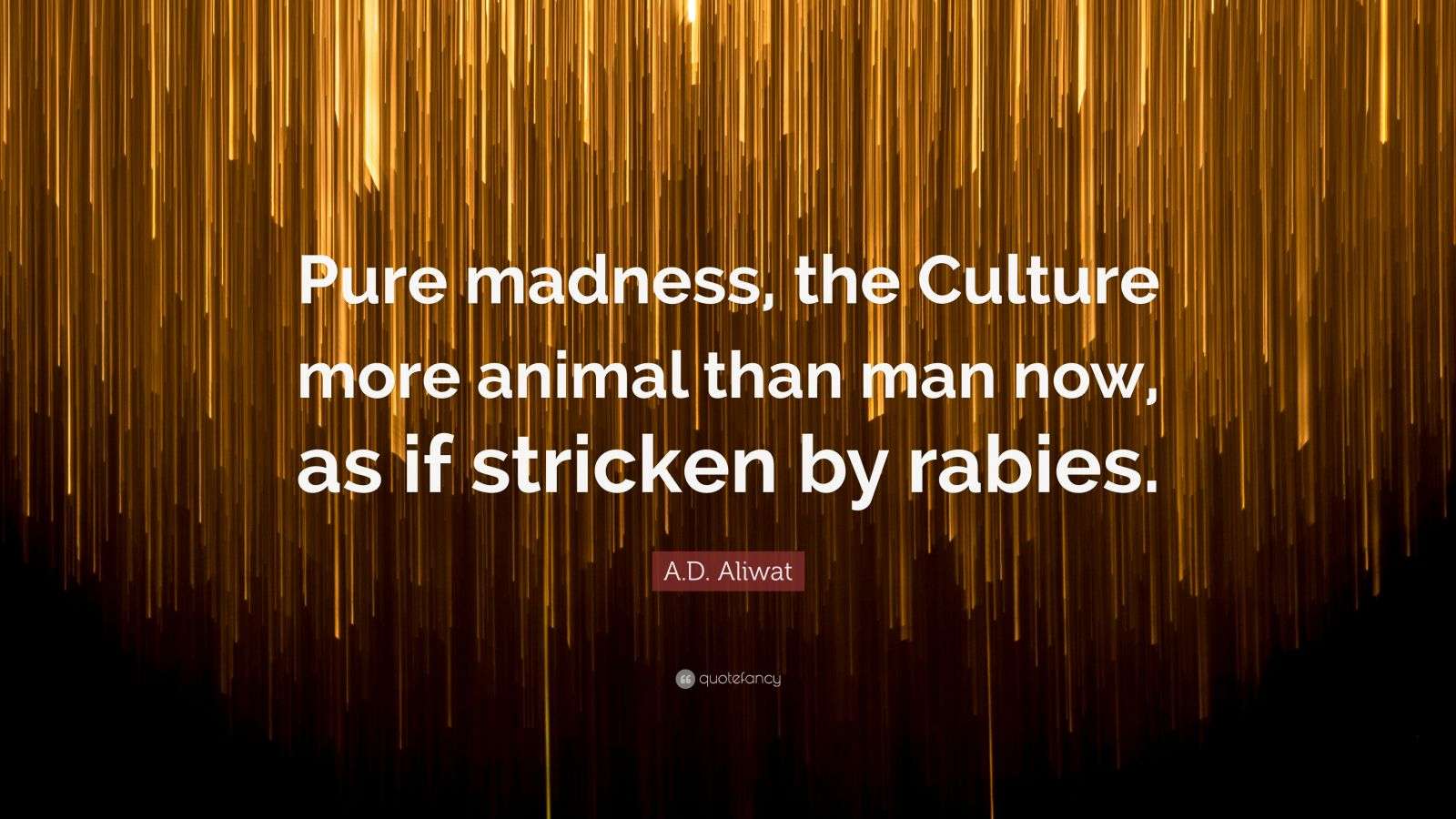 Top 200 A.D. Aliwat Quotes (2025 Update) [Page 2] - QuoteFancy