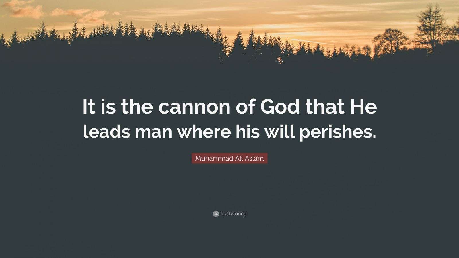 Muhammad Ali Aslam Quote: “It is the cannon of God that He leads man ...