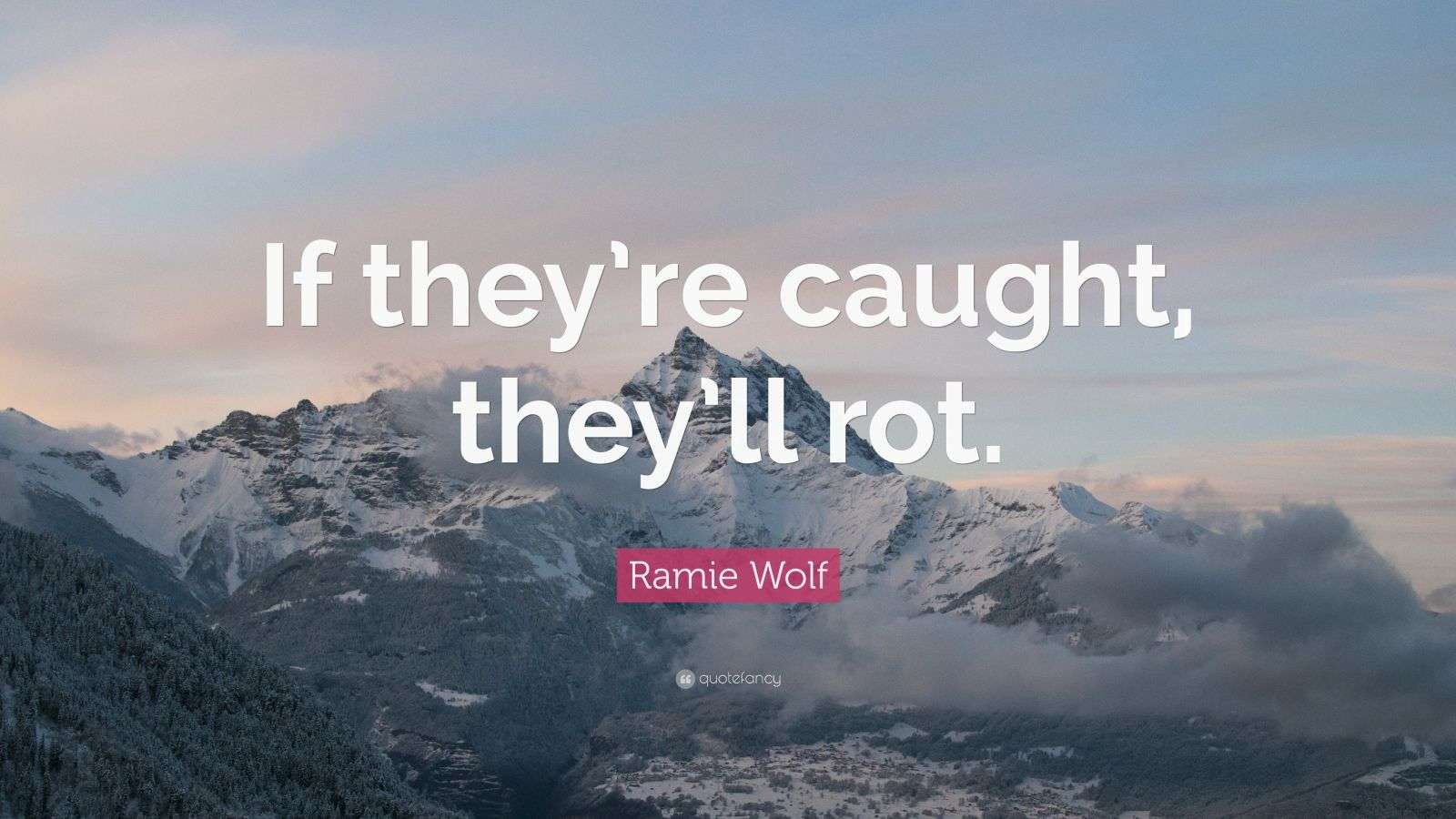 Ramie Wolf Quote: “If they’re caught, they’ll rot.”