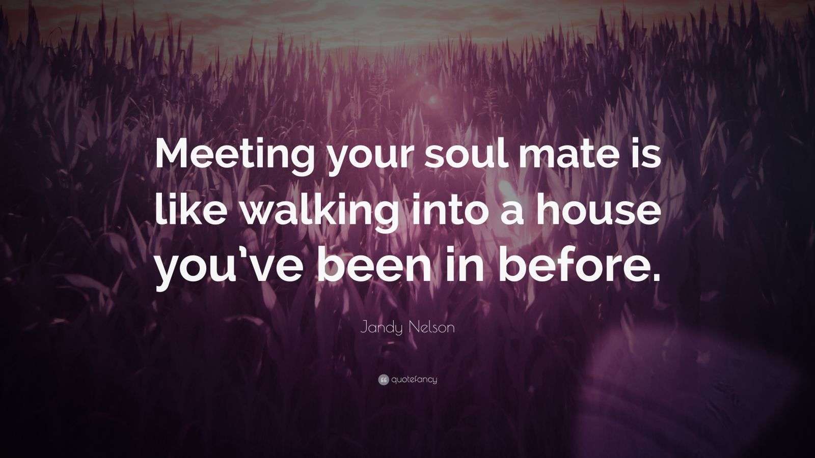 Jandy Nelson Quote: “Meeting your soul mate is like walking into a ...