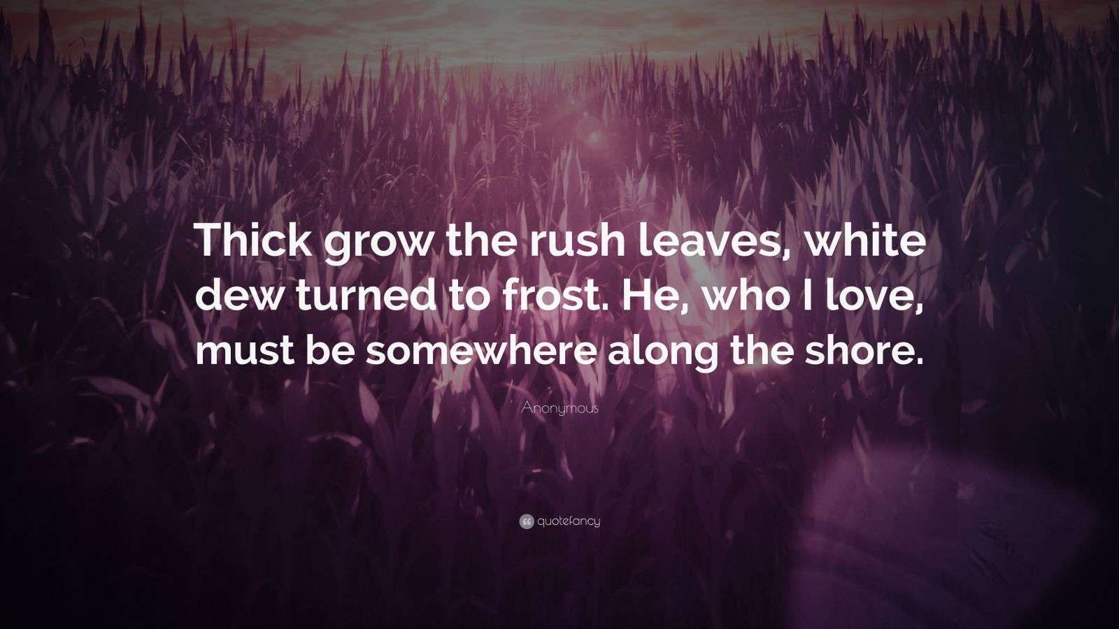 Anonymous Quote: “Thick grow the rush leaves, white dew turned to frost ...