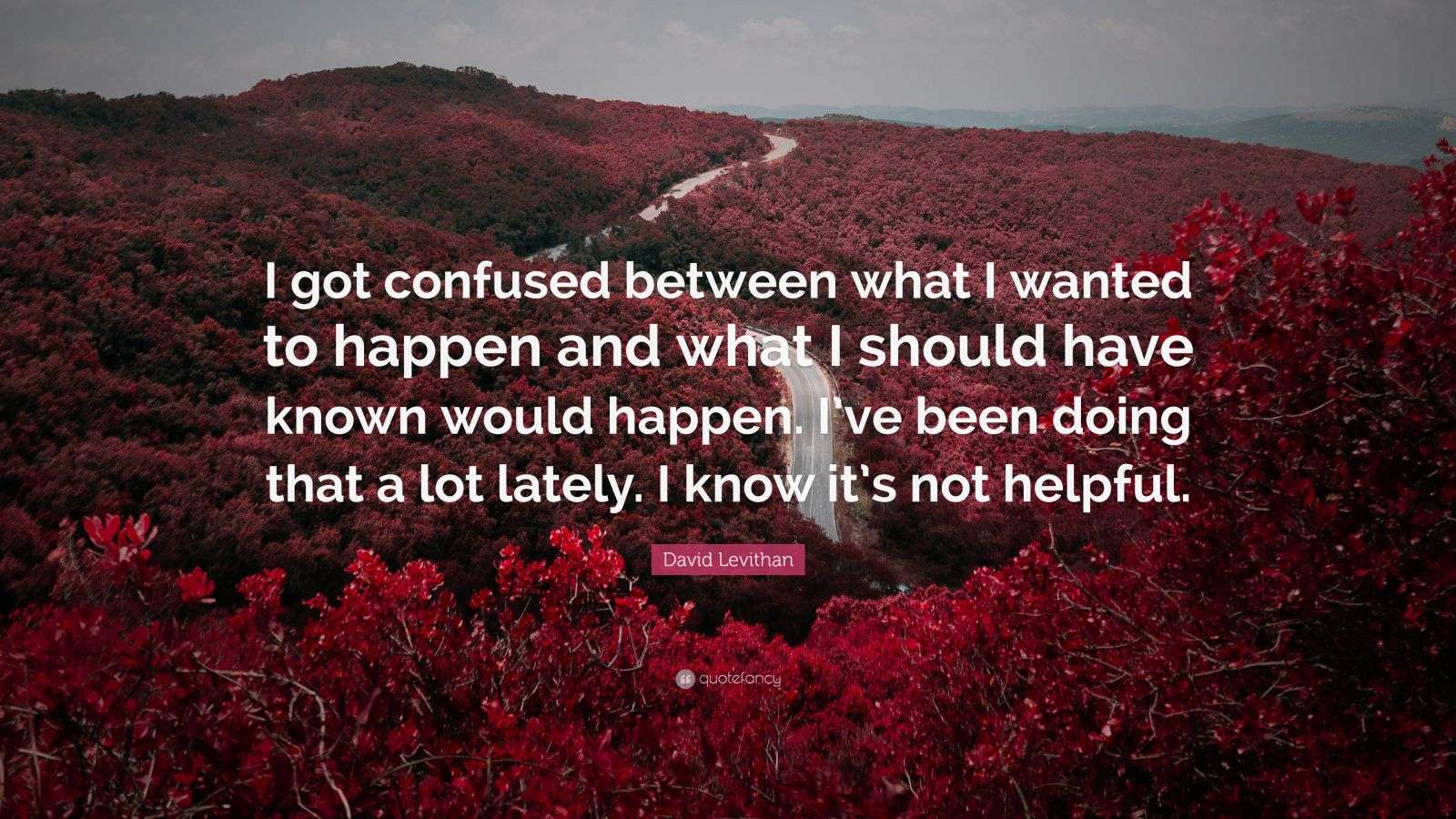 David Levithan Quote: “I got confused between what I wanted to happen ...