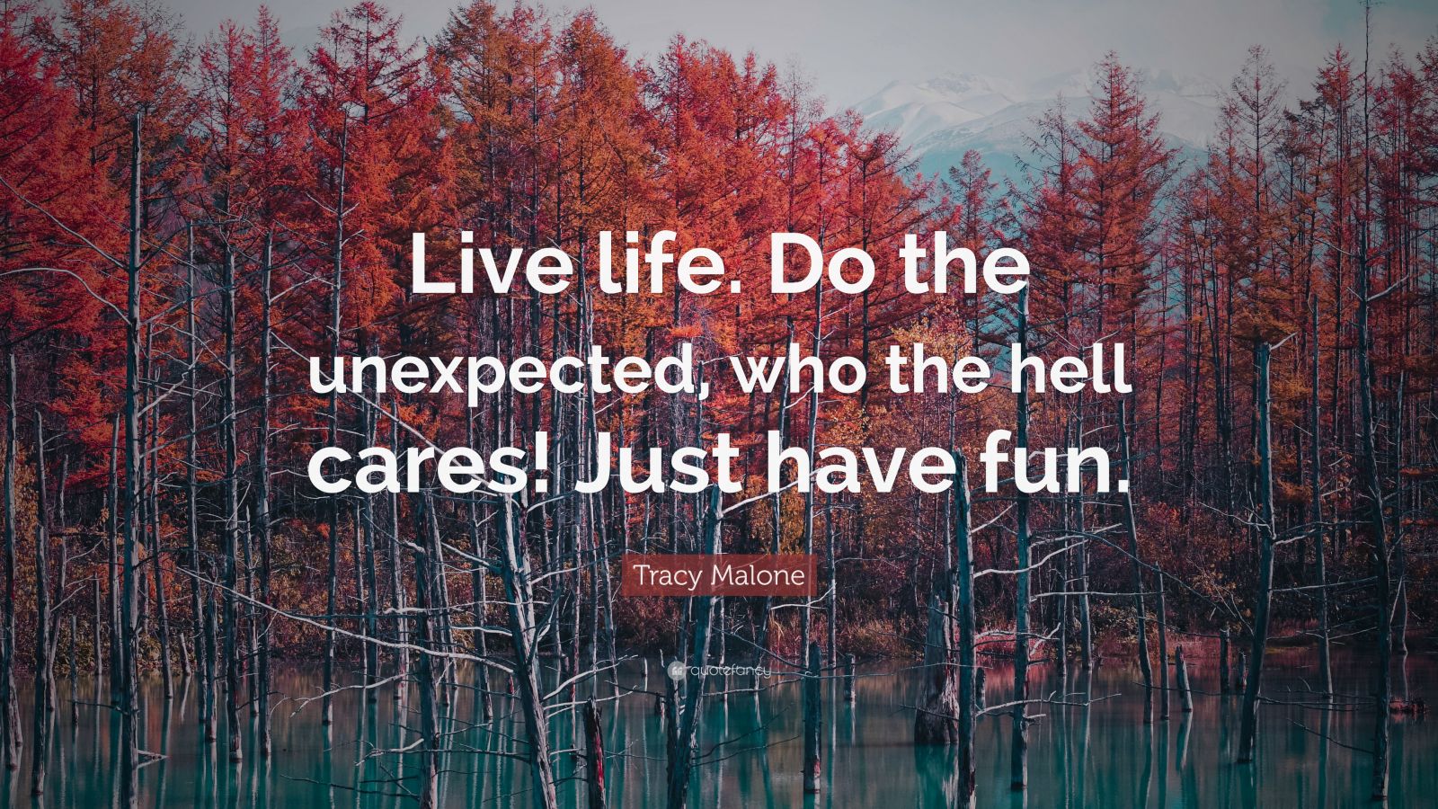 Tracy Malone Quote: “Live life. Do the unexpected, who the hell cares ...