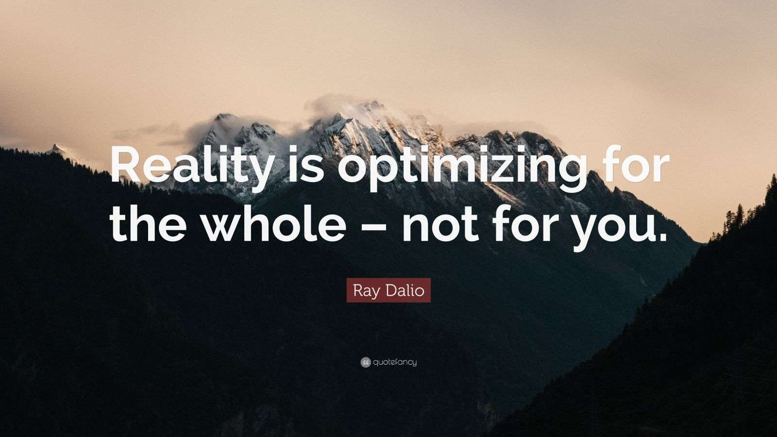 Ray Dalio Quote: “Reality is optimizing for the whole – not for you.”
