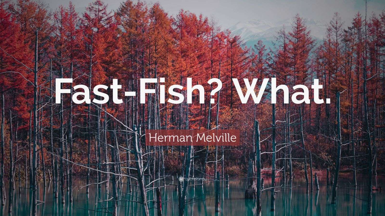 Herman Melville Quote: “Fast-Fish? What.”