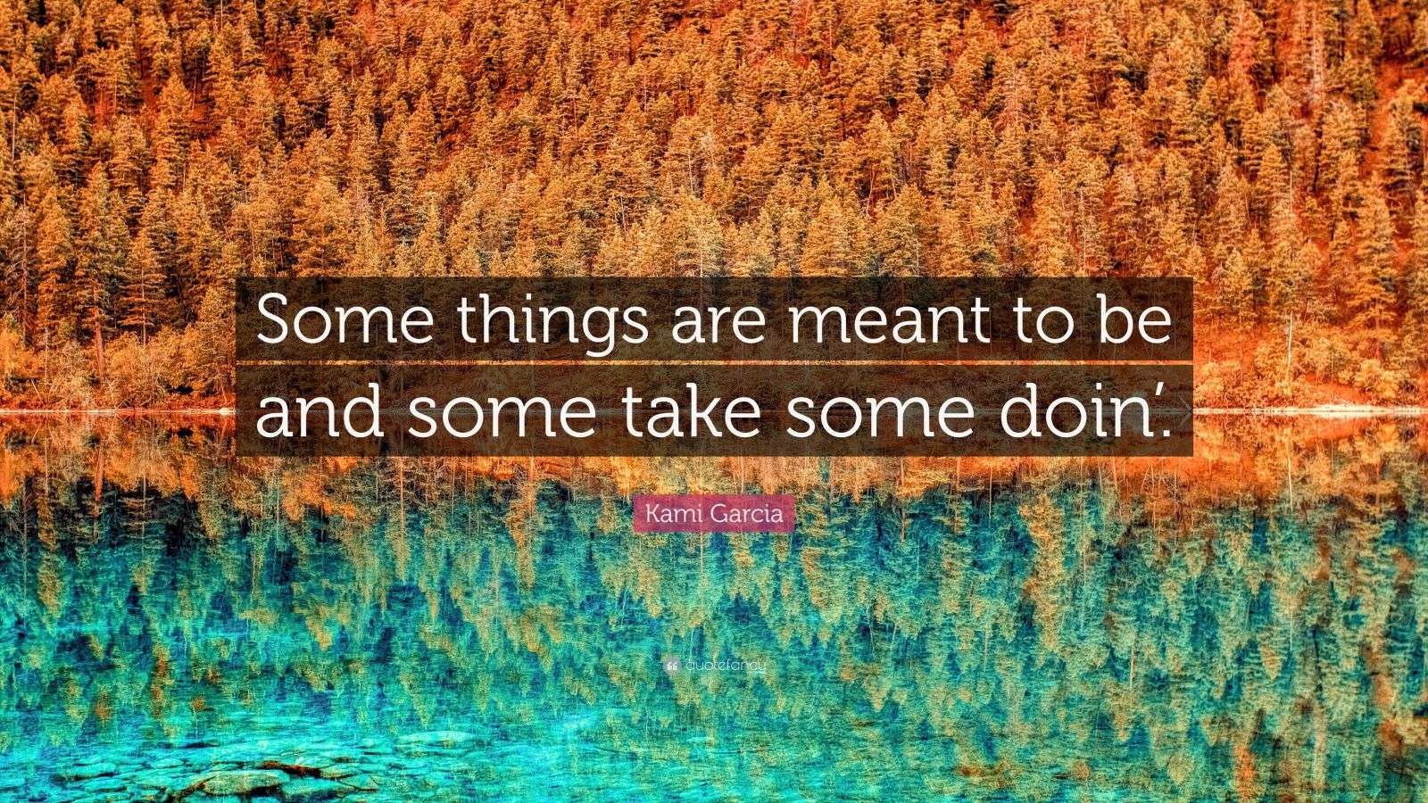 Kami Garcia Quote: “Some things are meant to be and some take some doin’.”
