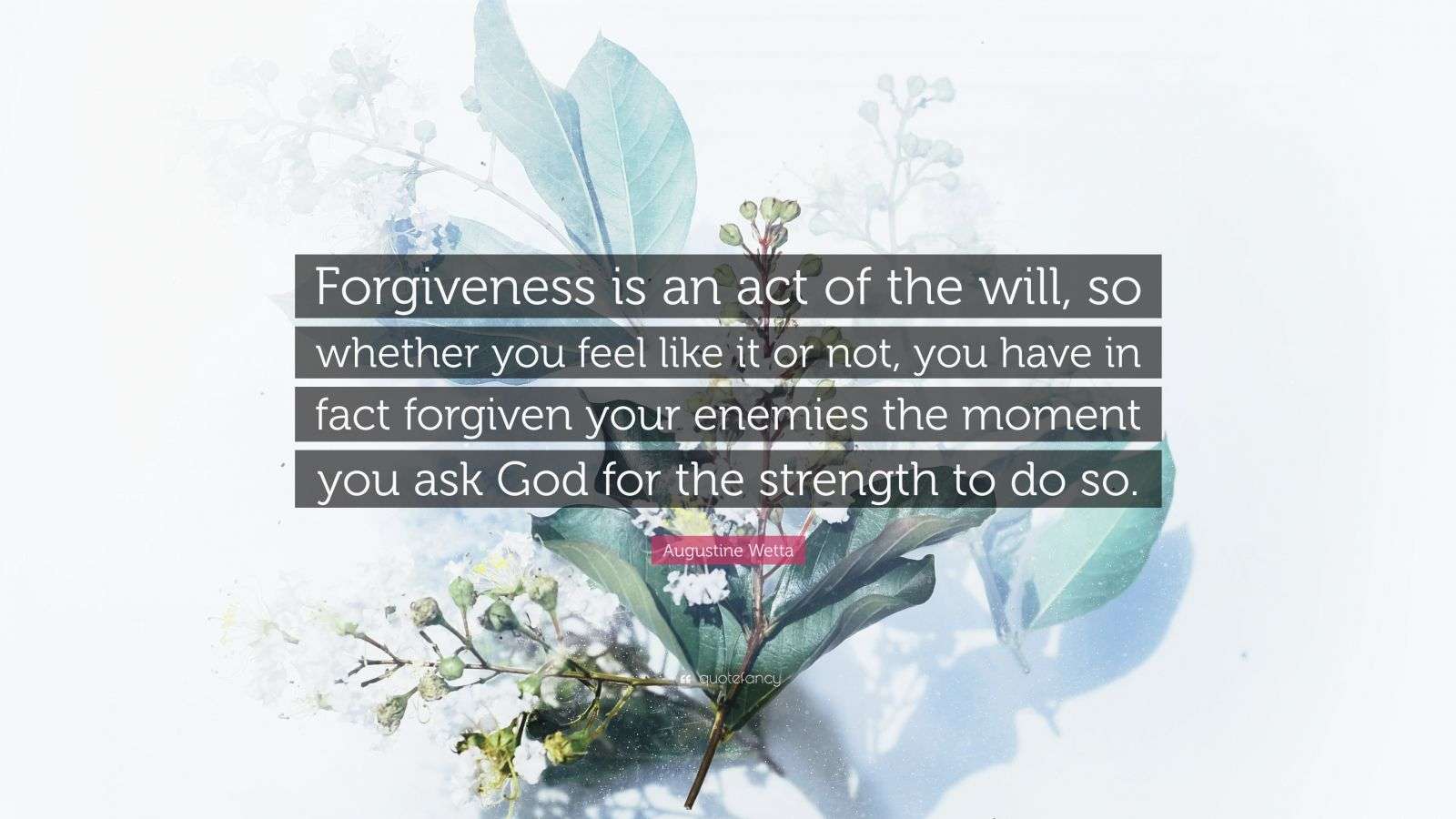 Augustine Wetta Quote: “Forgiveness is an act of the will, so whether ...