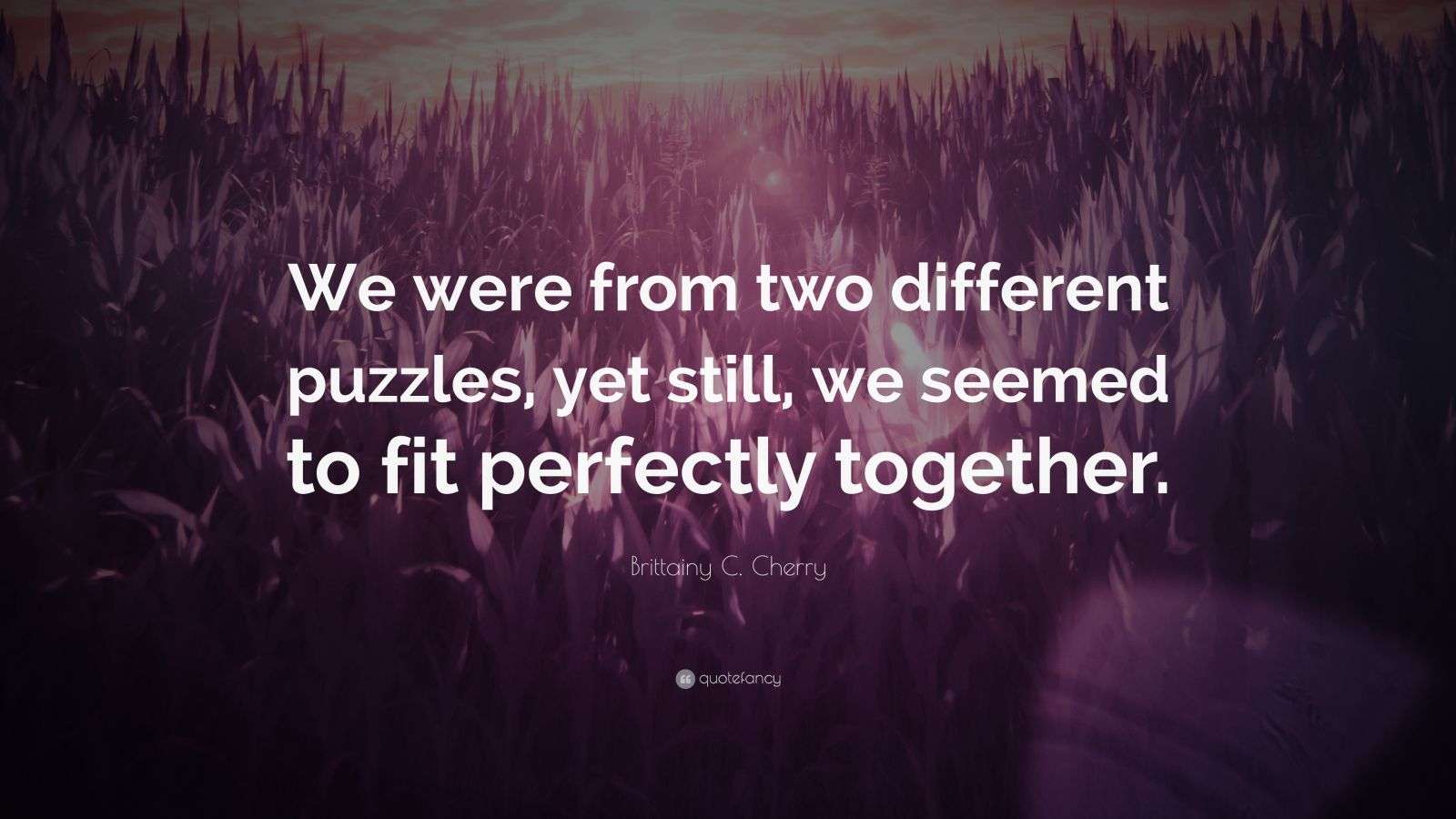 Brittainy C. Cherry Quote: “We were from two different puzzles, yet still, we seemed to fit ...