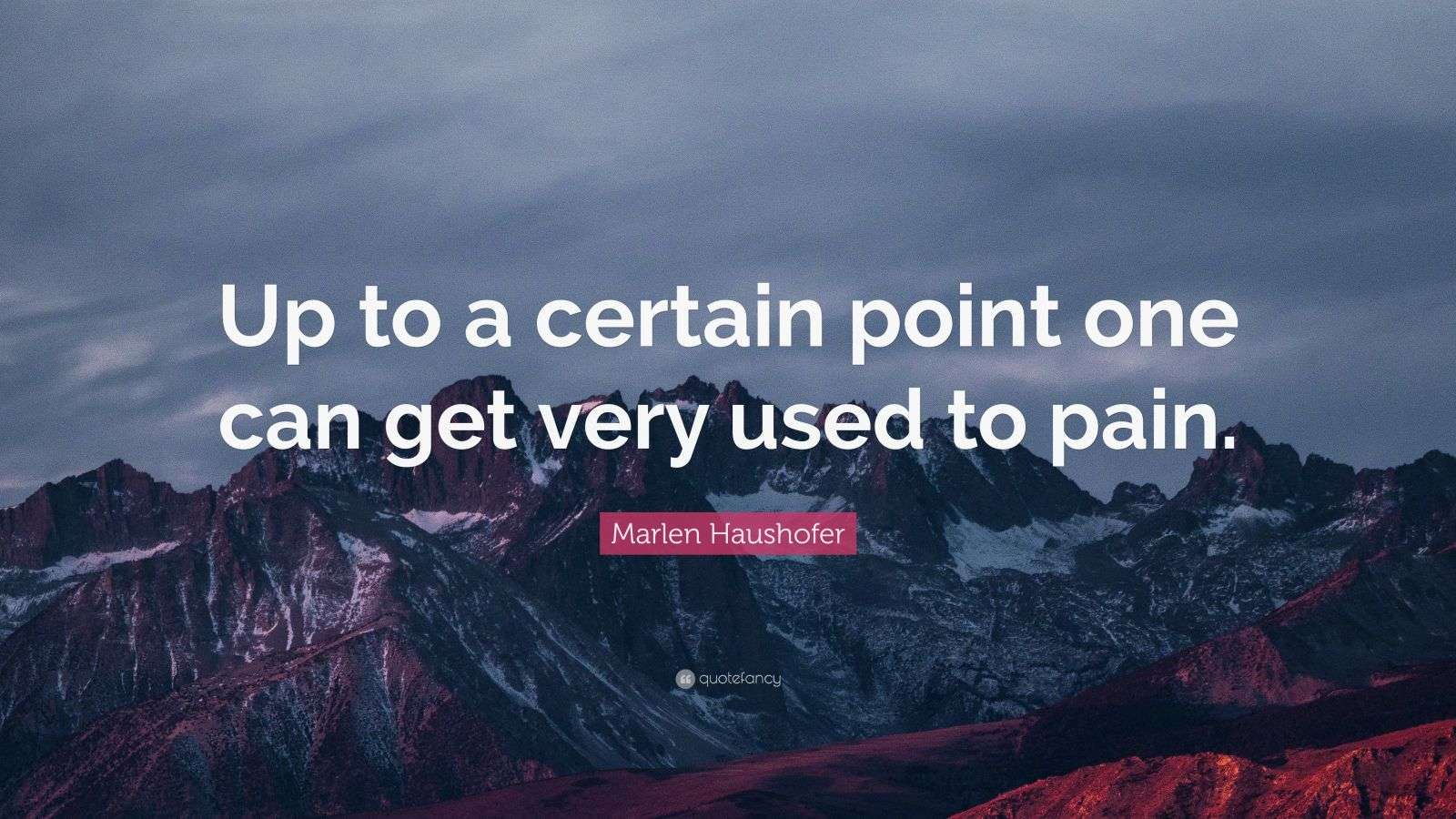 Marlen Haushofer Quote: “Up to a certain point one can get very used to ...