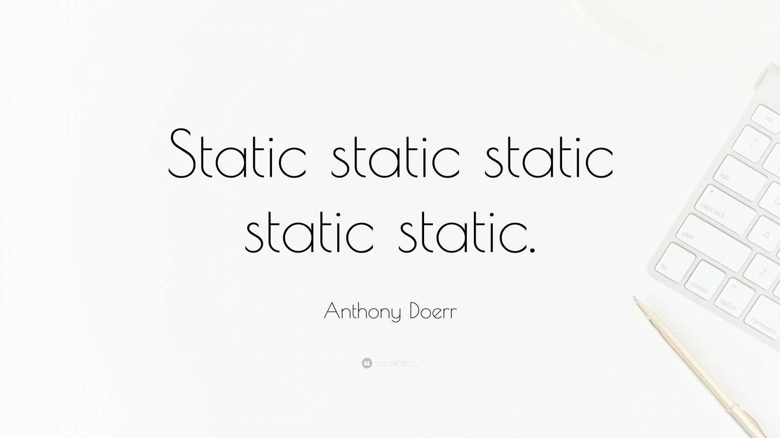 Anthony Doerr Quote: “Static static static static static.”