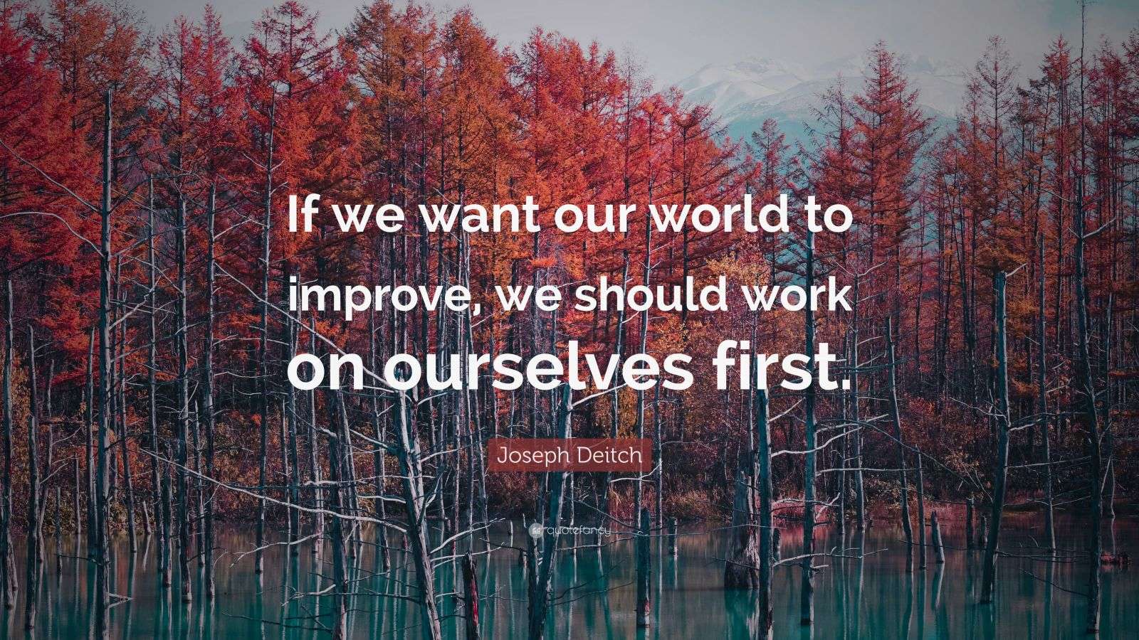 Joseph Deitch Quote: “If we want our world to improve, we should work ...