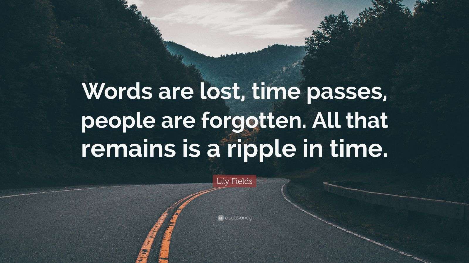 Lily Fields Quote: “Words are lost, time passes, people are forgotten ...