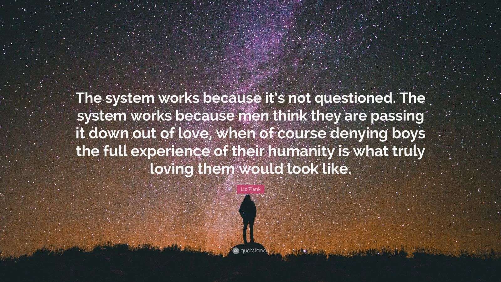 Liz Plank Quote: “The system works because it’s not questioned. The ...