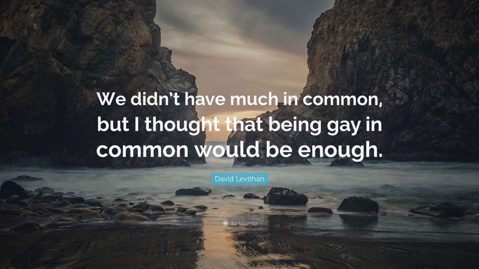 David Levithan Quote: “We didn’t have much in common, but I thought ...