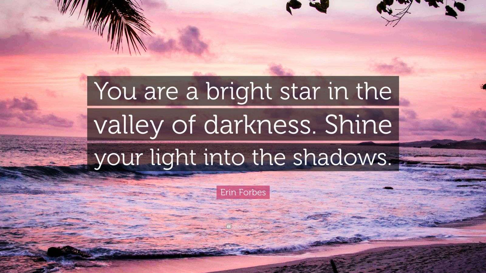 Erin Forbes Quote: “You are a bright star in the valley of darkness ...