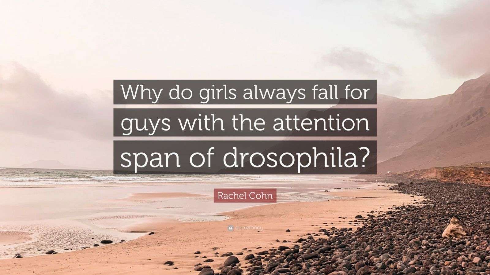 “Why do girls always fall for guys with the attention span of ...