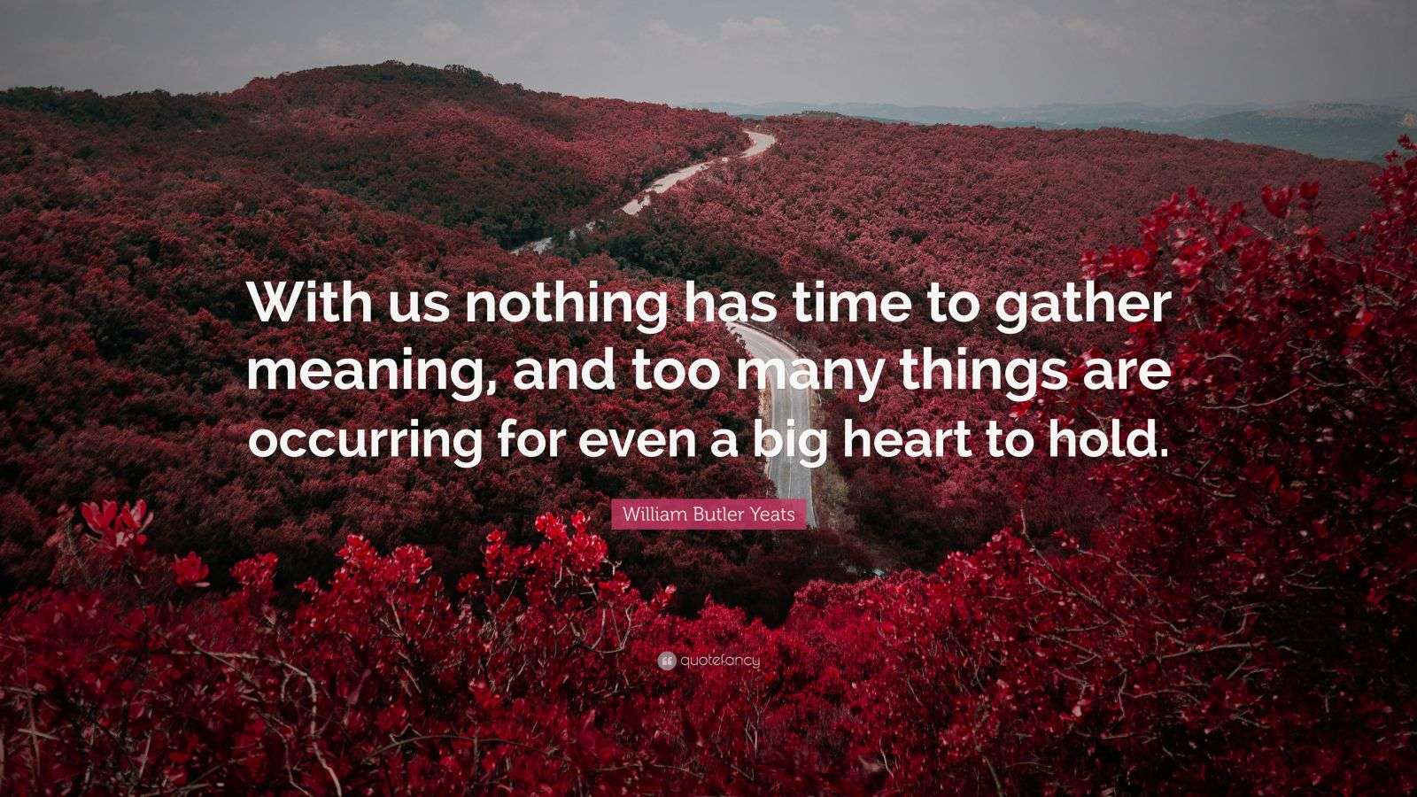 William Butler Yeats Quote: “With us nothing has time to gather meaning ...