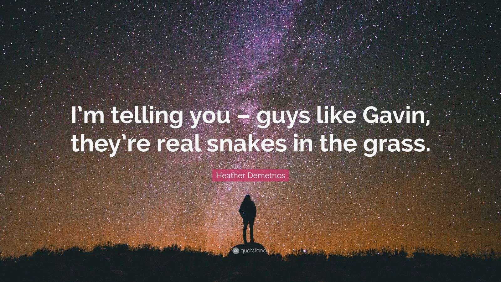 Heather Demetrios Quote: “I’m telling you – guys like Gavin, they’re ...