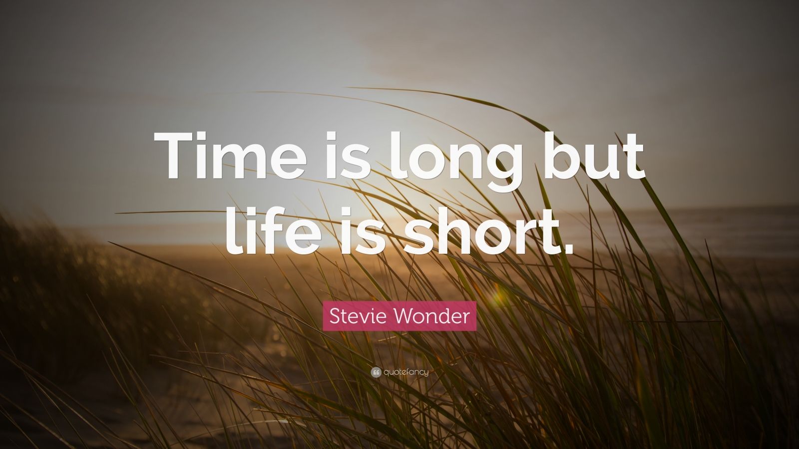 Stevie Wonder Quote: “Time is long but life is short.” (7 wallpapers ...