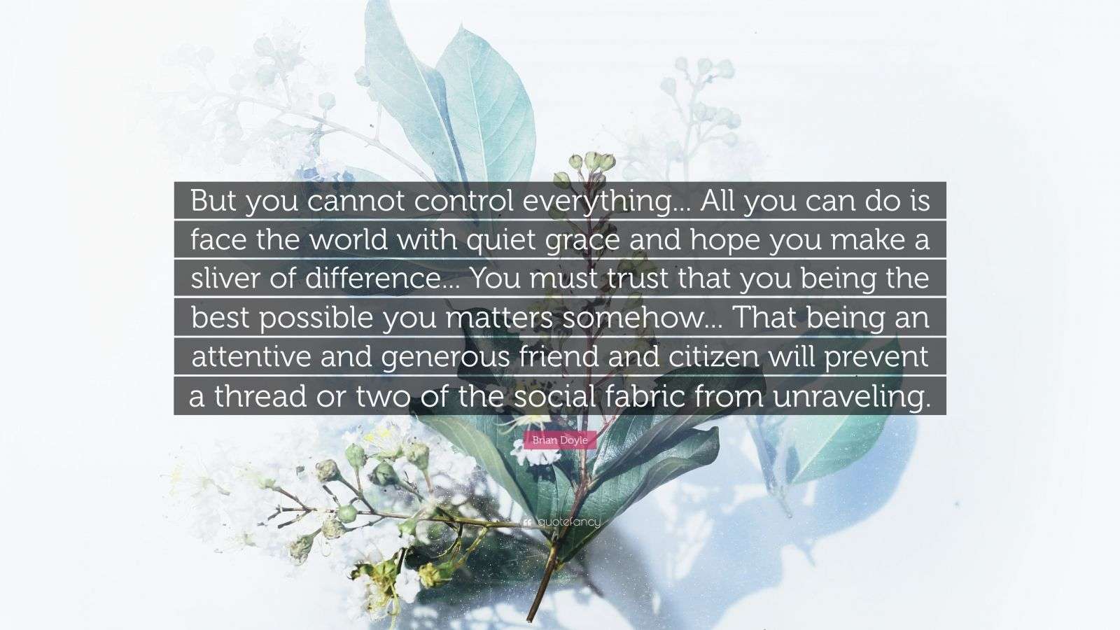 Brian Doyle Quote: “But you cannot control everything... All you can do ...