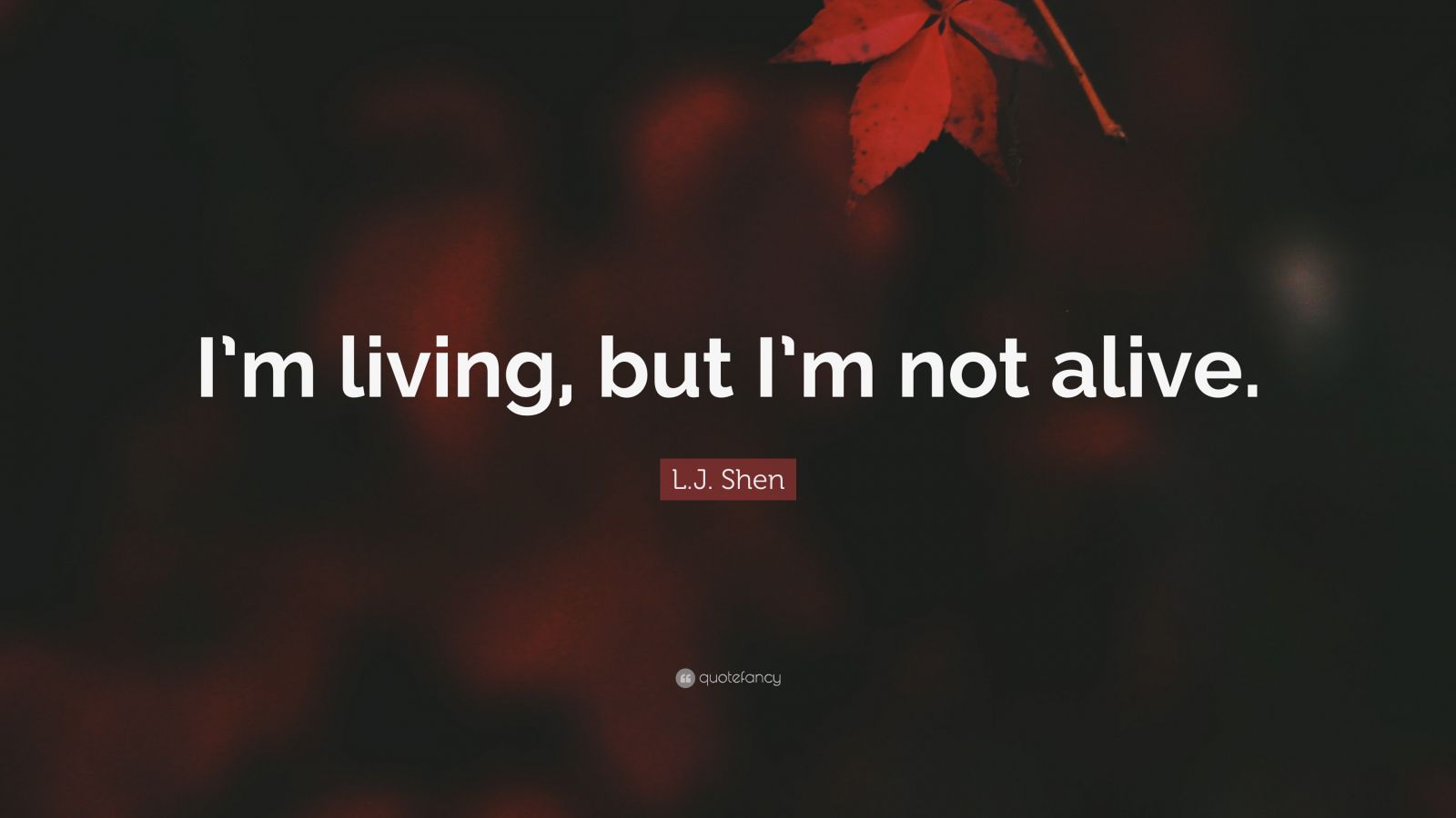 L.J. Shen Quote: “I’m living, but I’m not alive.”