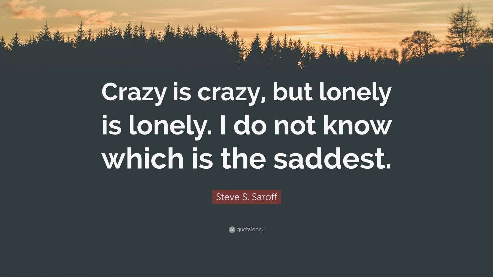Steve S. Saroff Quote: “Crazy is crazy, but lonely is lonely. I do not ...