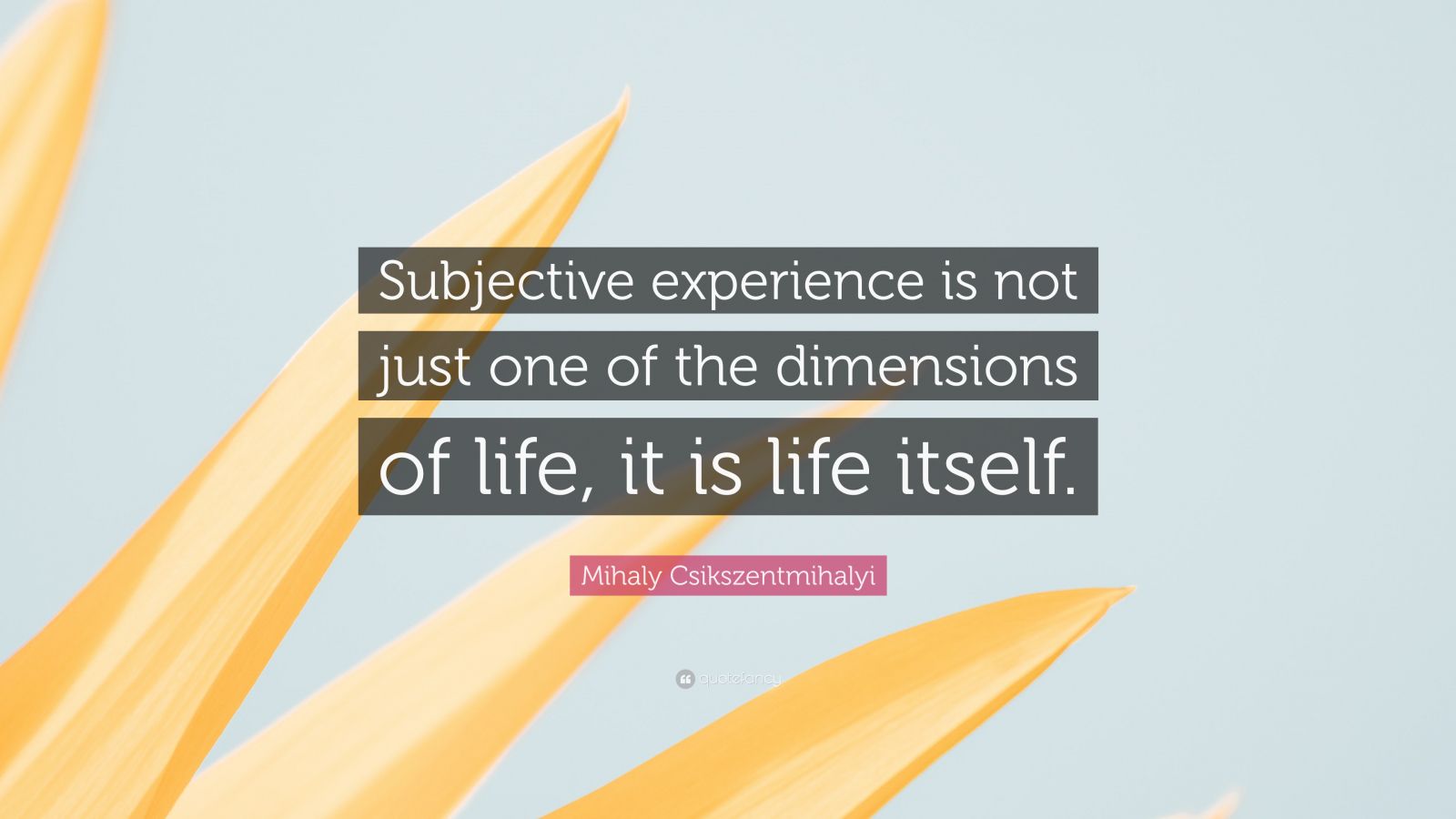 Mihaly Csikszentmihalyi Quote: “Subjective experience is not just one ...