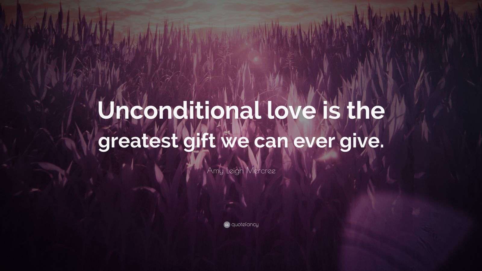 Amy Leigh Mercree Quote: “Unconditional love is the greatest gift we ...