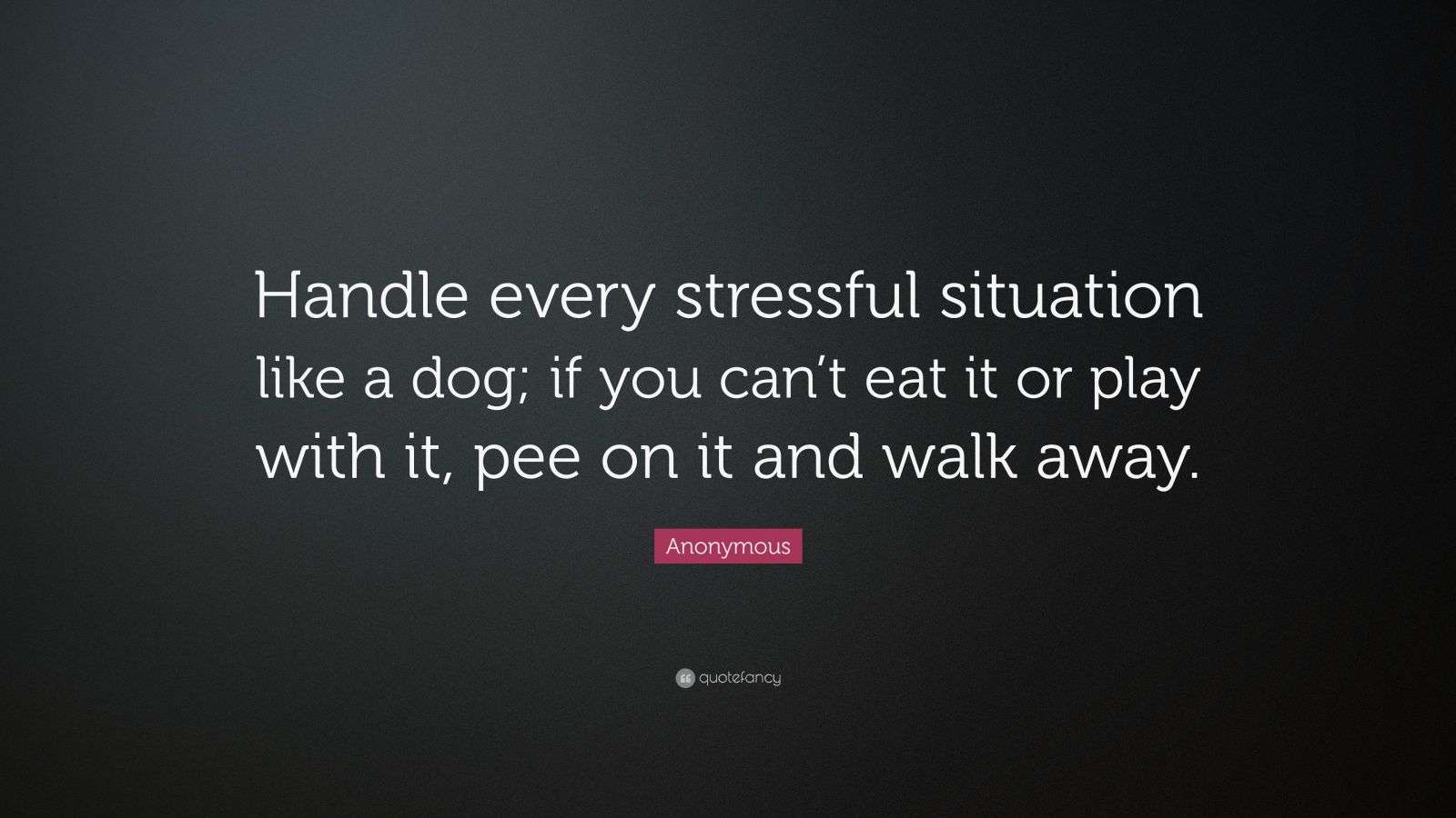 Anonymous Quote: “Handle every stressful situation like a dog; if you ...