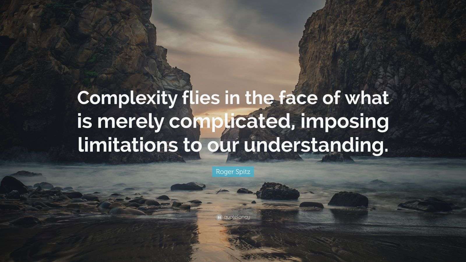 Roger Spitz Quote: “Complexity flies in the face of what is merely ...